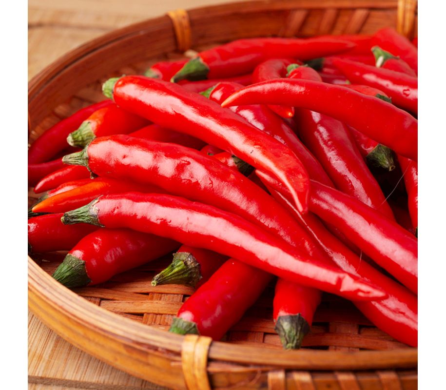 Frozen Food :: Frozen Vegetables :: Watson-Frozen Fresh Chillies ...